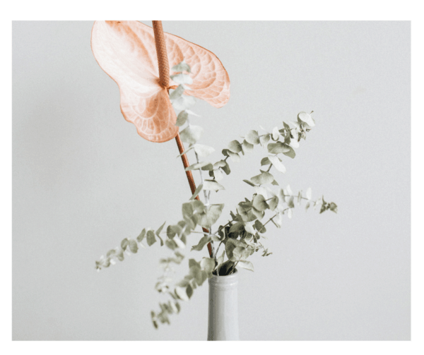 10 Captivating Reasons Why Simple is Best