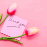 50 Simple Appreciation Messages to Express Your Gratitude